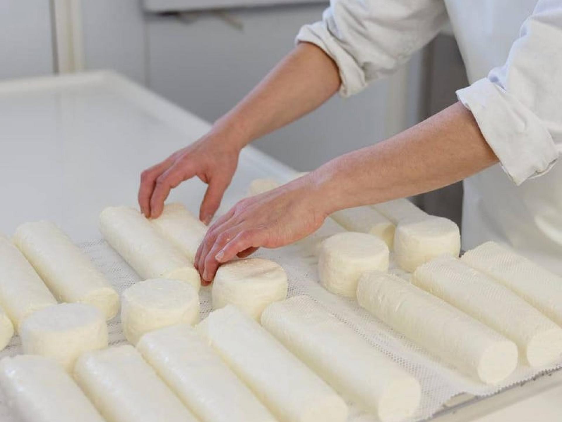 LE CHÂTEAU DE MACHECOUL (Machecoul) | Sud Retz Atlantique Tourisme